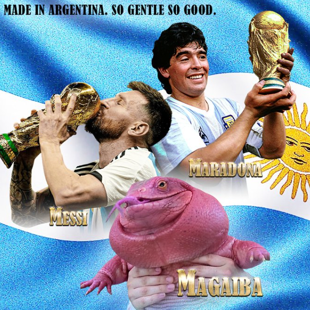 So gentle, so good: los mejores memes de $MAGAIBA, la memecoin ...