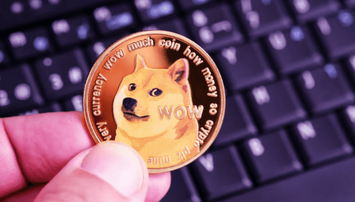 Cuál es el precio de DOGECOIN hoy lunes 15 de julio de 2024 - Cripto247 ...