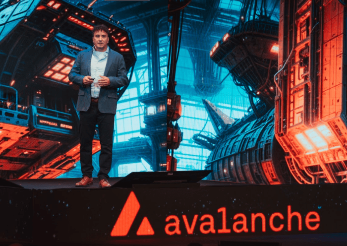 Emin Gün Sirer, fundador y CEO de Ava Labs explica qué es y cómo ...