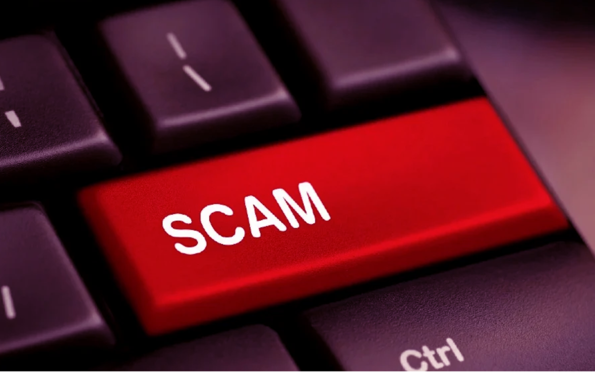 Cómo reconocer un scam o estafa cripto - Cripto247 - Últimas noticias ...