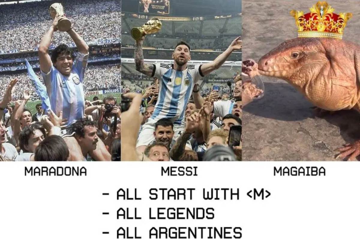 Así es $MAGAIBA, la memecoin argentina que subió más del 350% ...