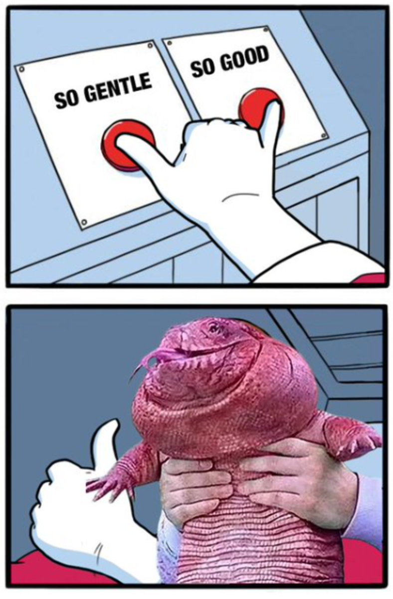 So gentle, so good: los mejores memes de $MAGAIBA, la memecoin ...