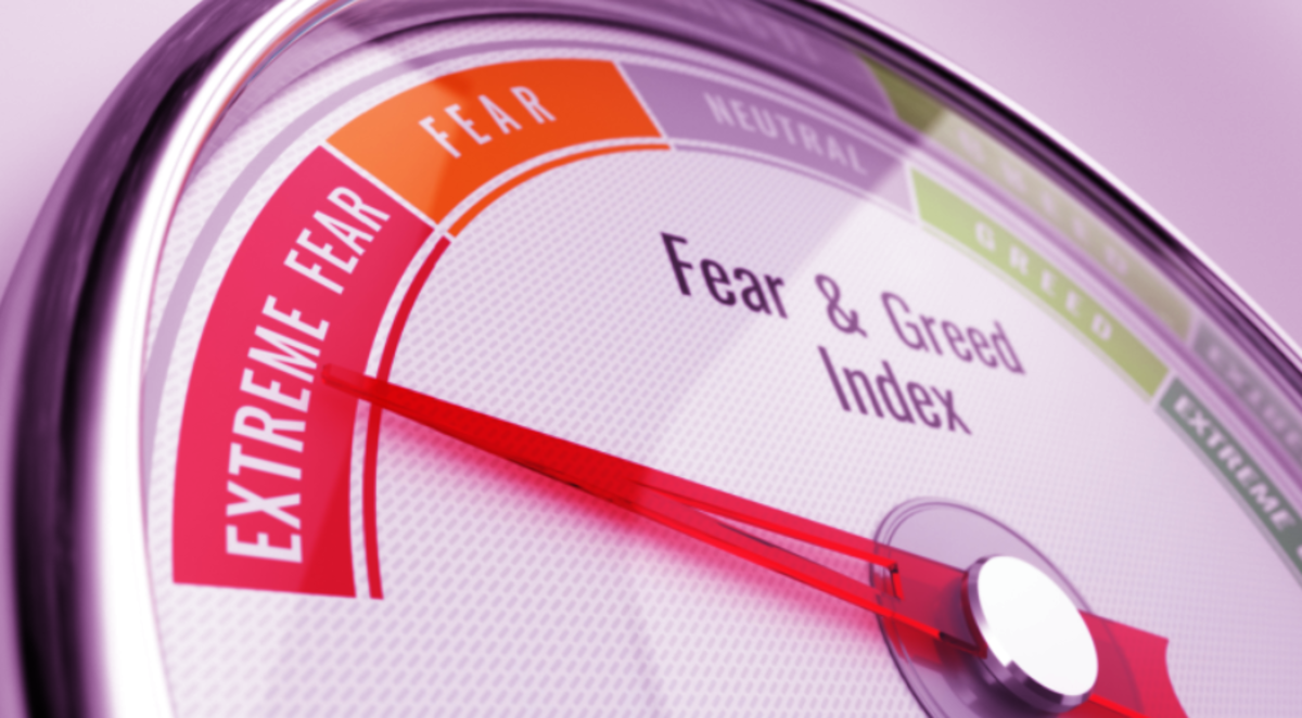 Qué es el Índice de miedo y codicia y porqué es importante para ser un ...