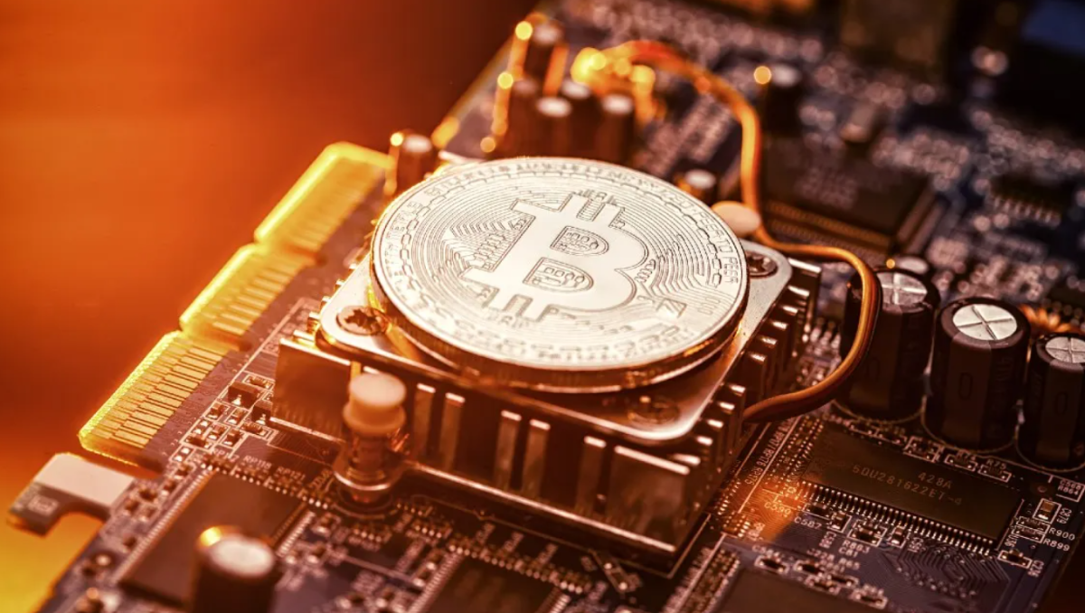 BitVMX alcanza un hito con la exitosa verificación de pruebas SNARK en ...