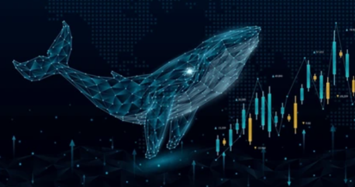 Alerta en el ecosistema: las ballenas están acumulando esta criptomoneda. ¿Se viene un nuevo ...